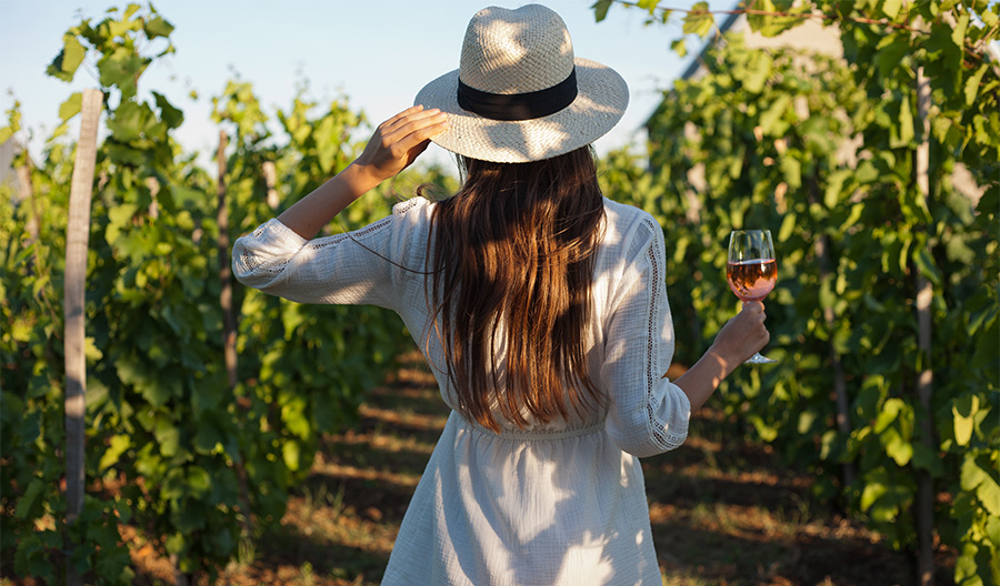 The Ultimate Guide to French Rosé | Proof By Southern Glazer's
